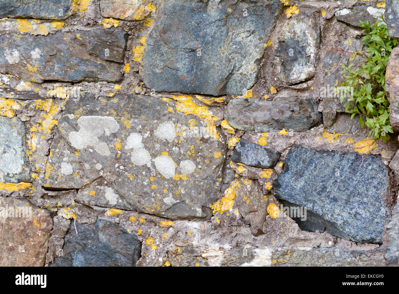 Multi coloured masonry hi-res stock photography and images - Alamy