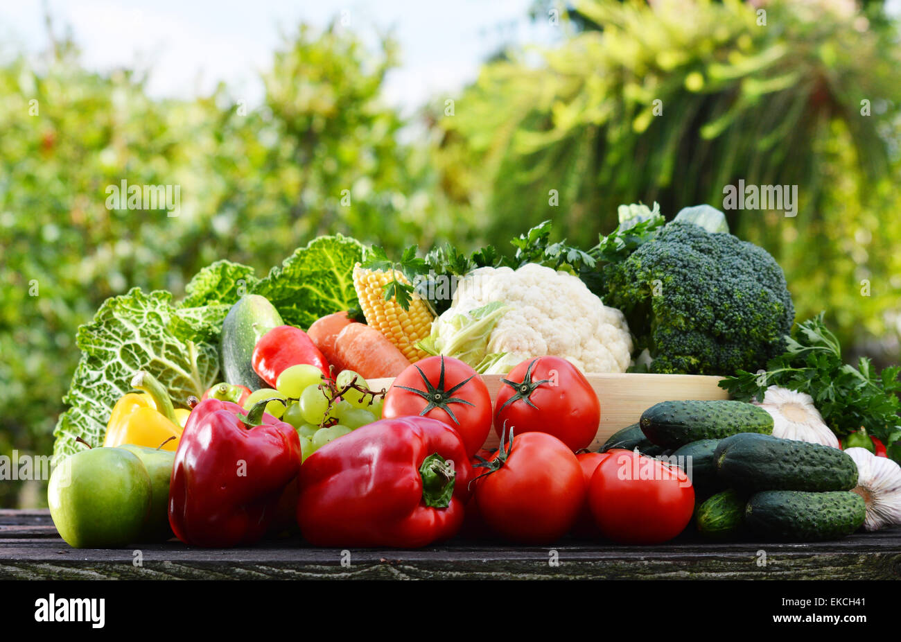 Assorted raw organic vegetables in the garden Stock Photo - Alamy