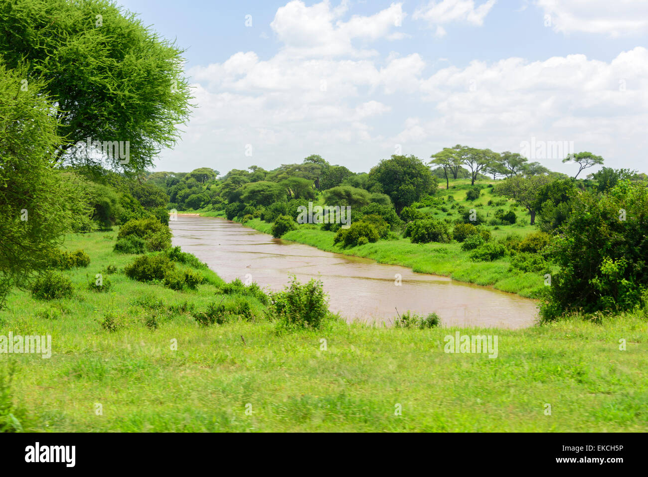 Tarangire River landscape Tarangire National Park, Manyara Region ...