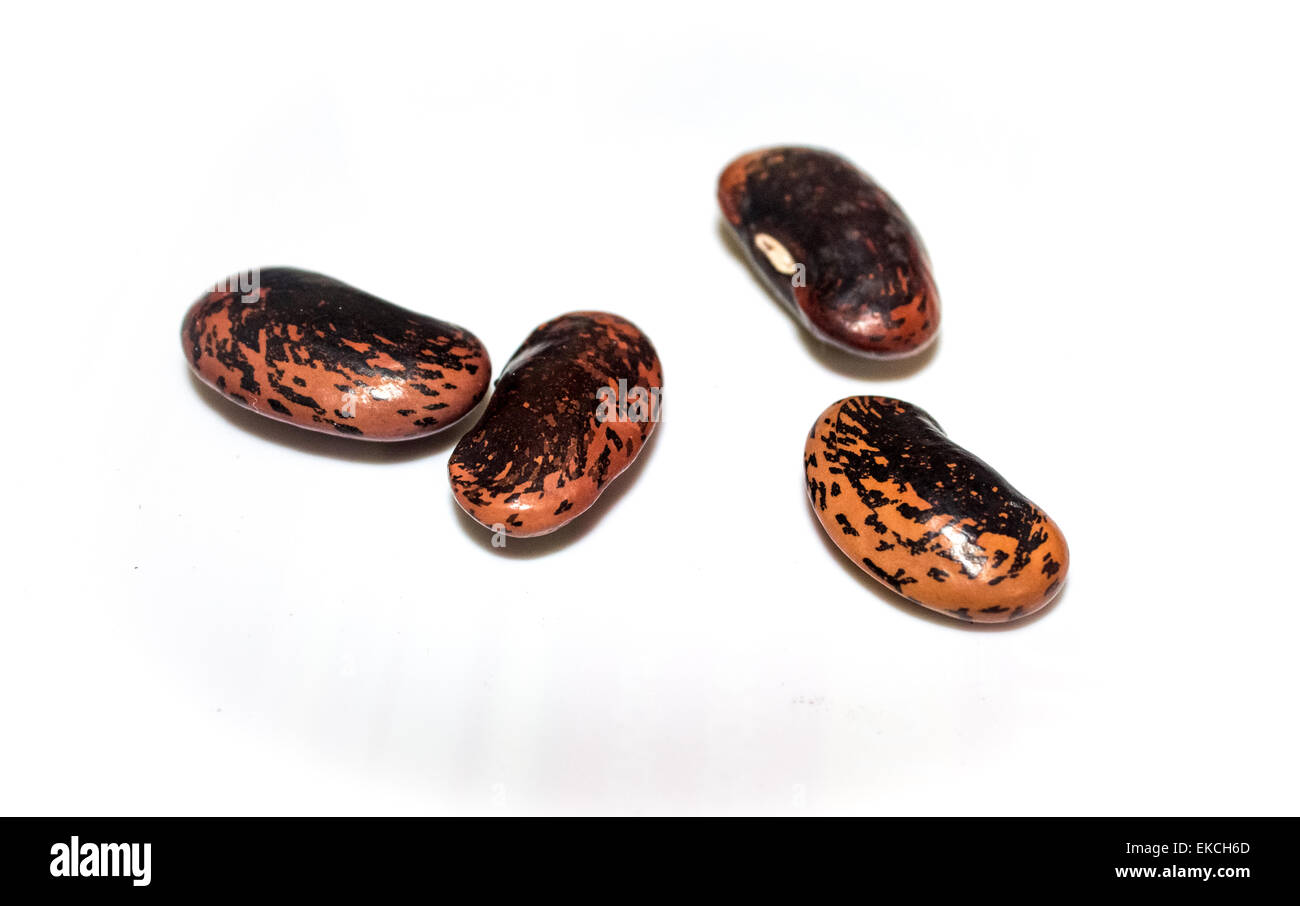 Soaked seeds hi-res stock photography and images - Alamy