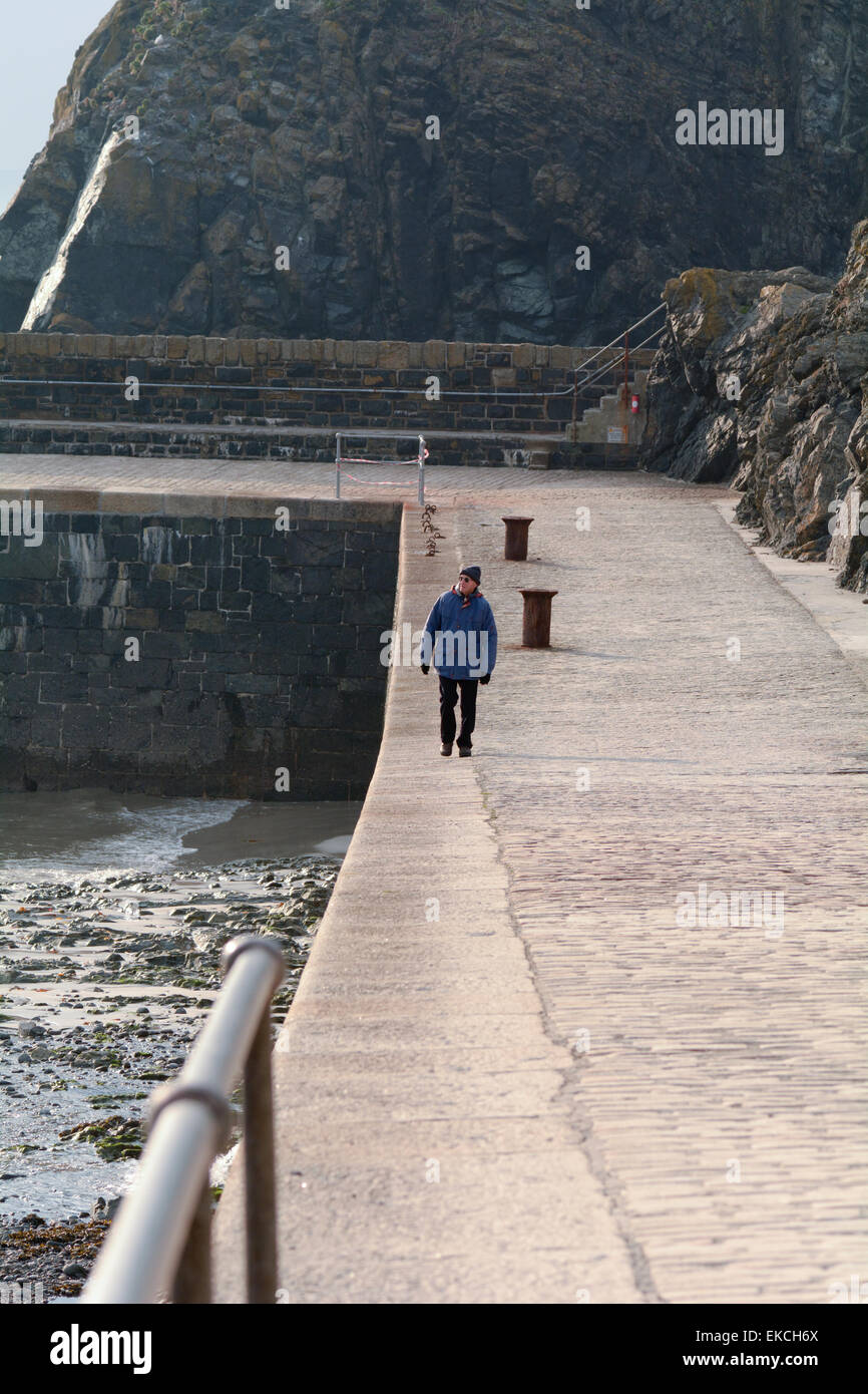 Man walking along edge of Mullion harbour wall, Cornwall, England Stock ...