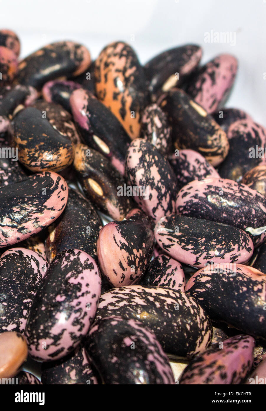 Assorted runner bean seeds with varying patterns before being soaked to ...