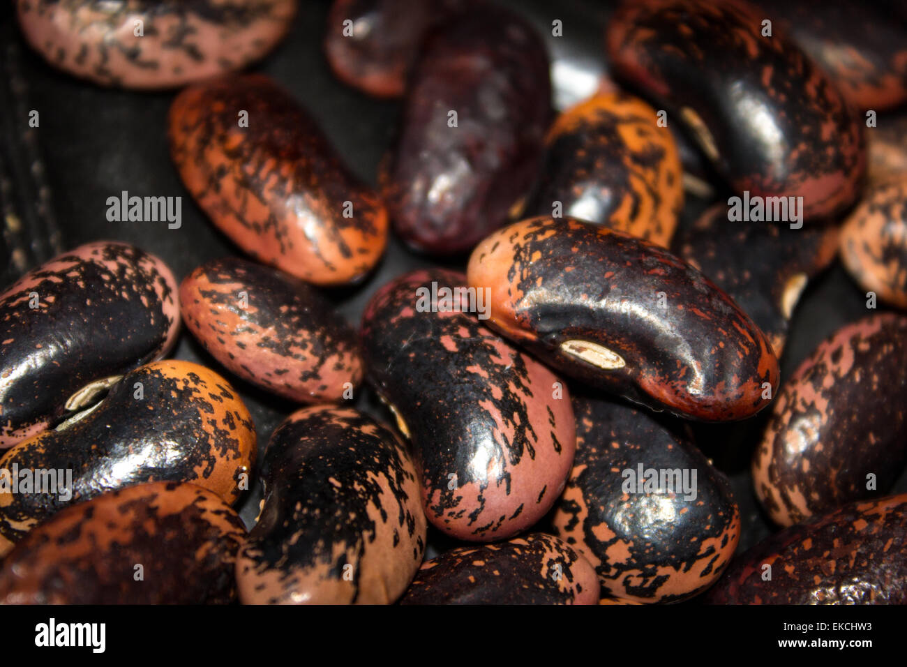 Soaking beans hi-res stock photography and images - Alamy