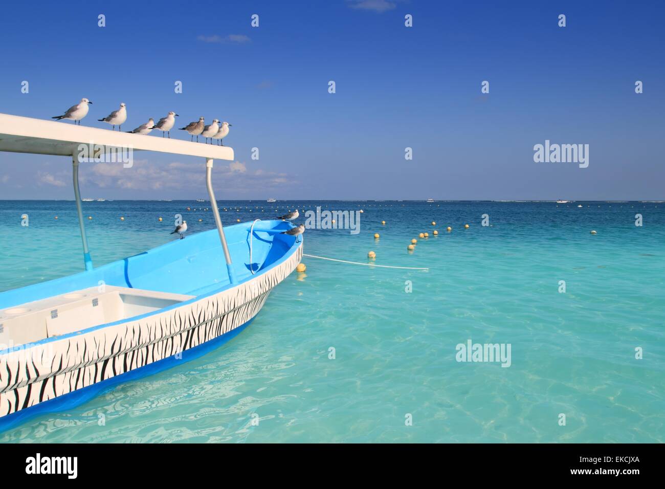 blue boat seagulls Caribbean turquoise sea Stock Photo - Alamy