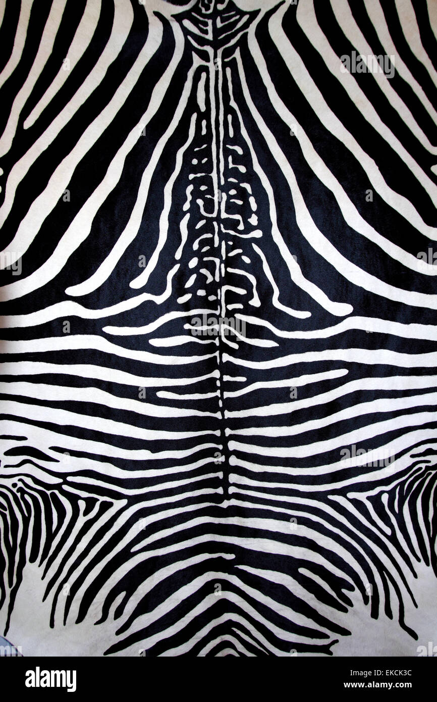 animal zebra skin black and white fur stripes Stock Photo - Alamy