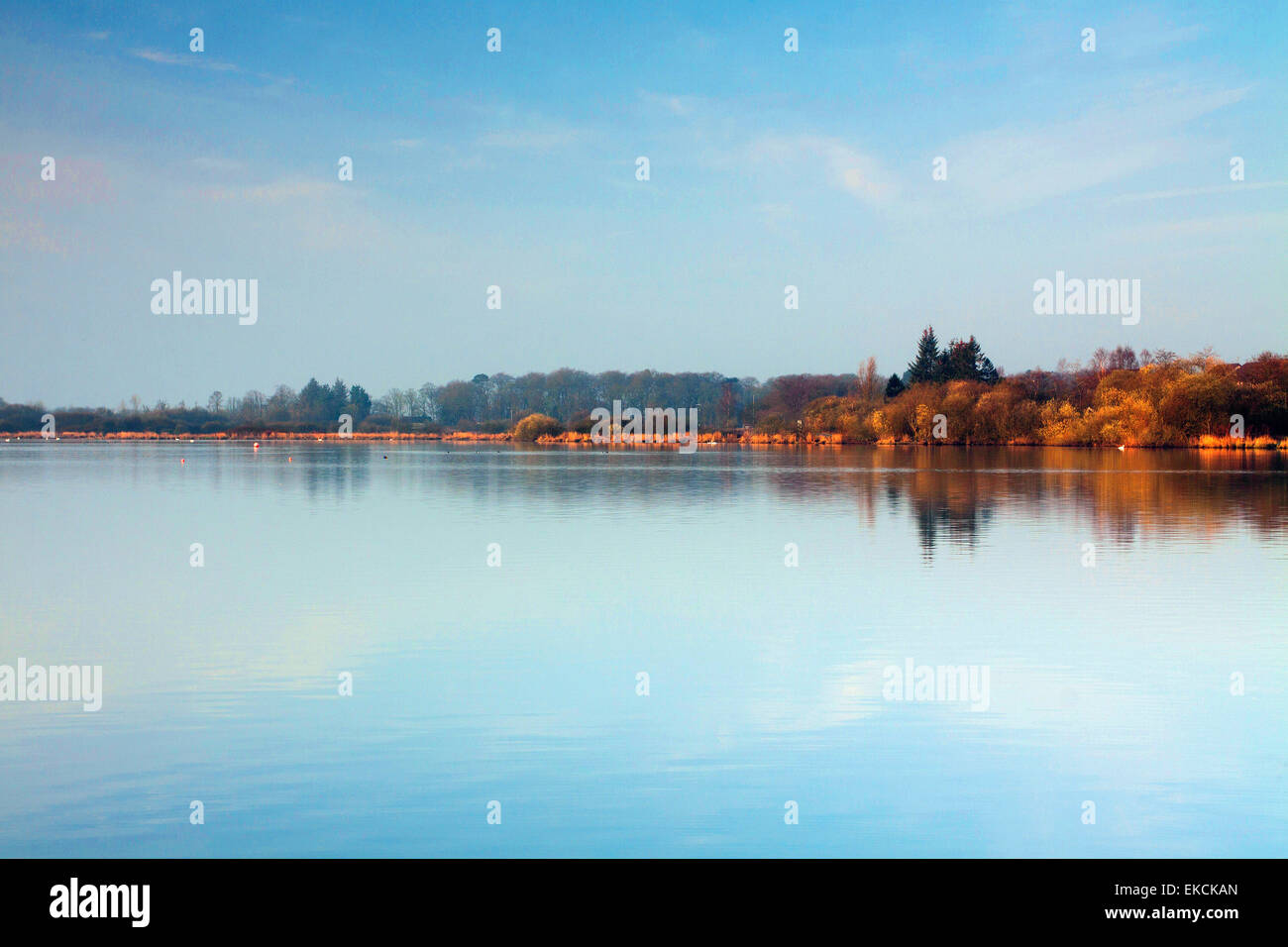 Castle Semple Loch, Clyde Murshiel Country Park, Lochwinnoch ...