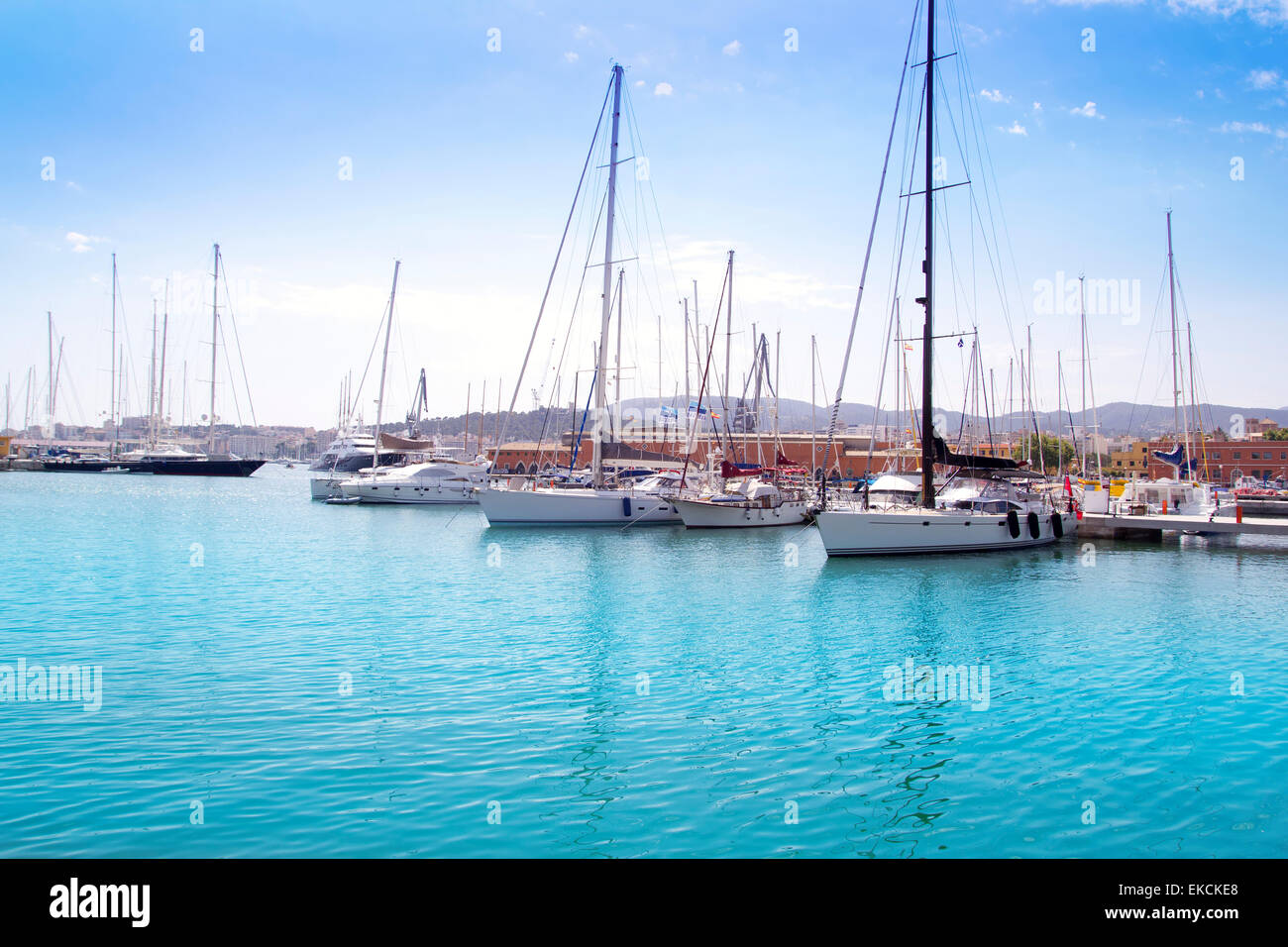 Marina port in Palma de Mallorca at Balearic Islands Stock Photo - Alamy