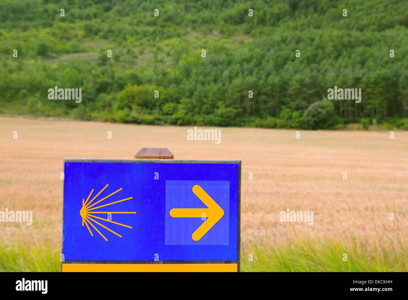 pilgrim road sign pedestrian way of saint James Stock Photo - Alamy