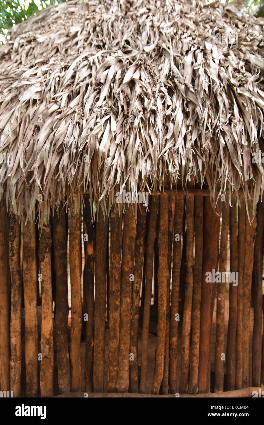 Hut palapa mexican jungle Mayan house roof wall Stock Photo - Alamy
