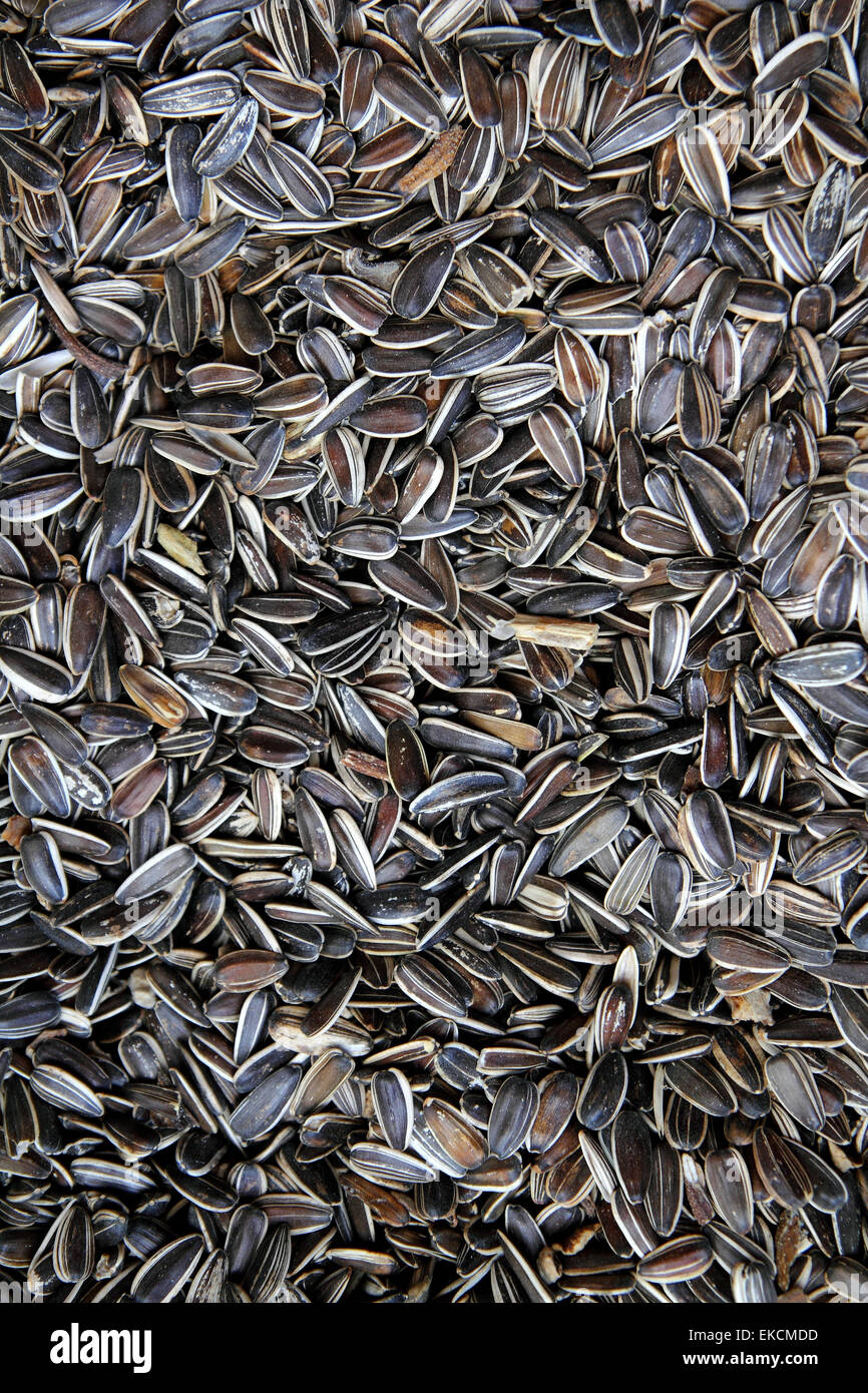 sunflower seed pattern food background Stock Photo - Alamy