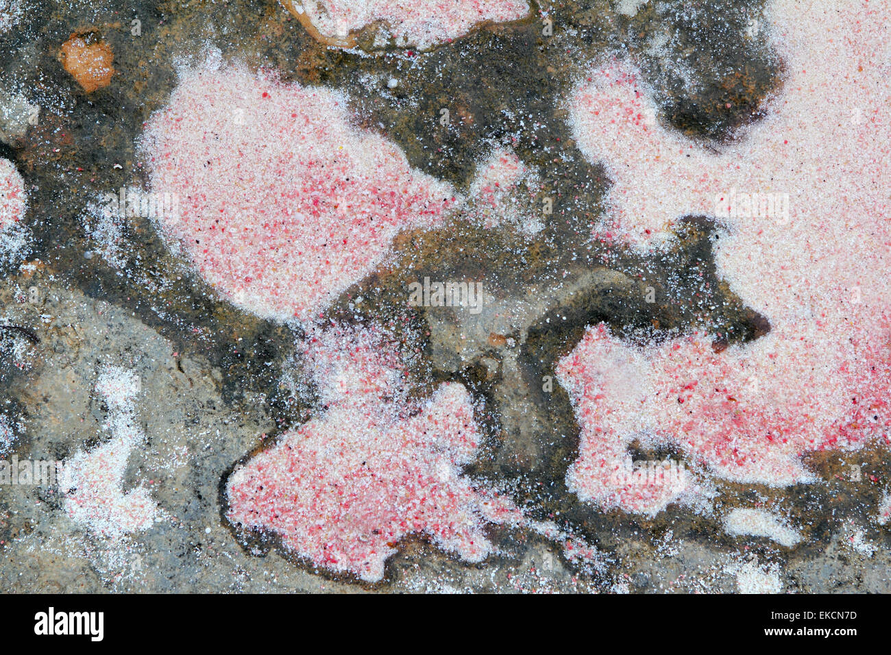 pink sand texture over rock in Formentera beach Stock Photo - Alamy