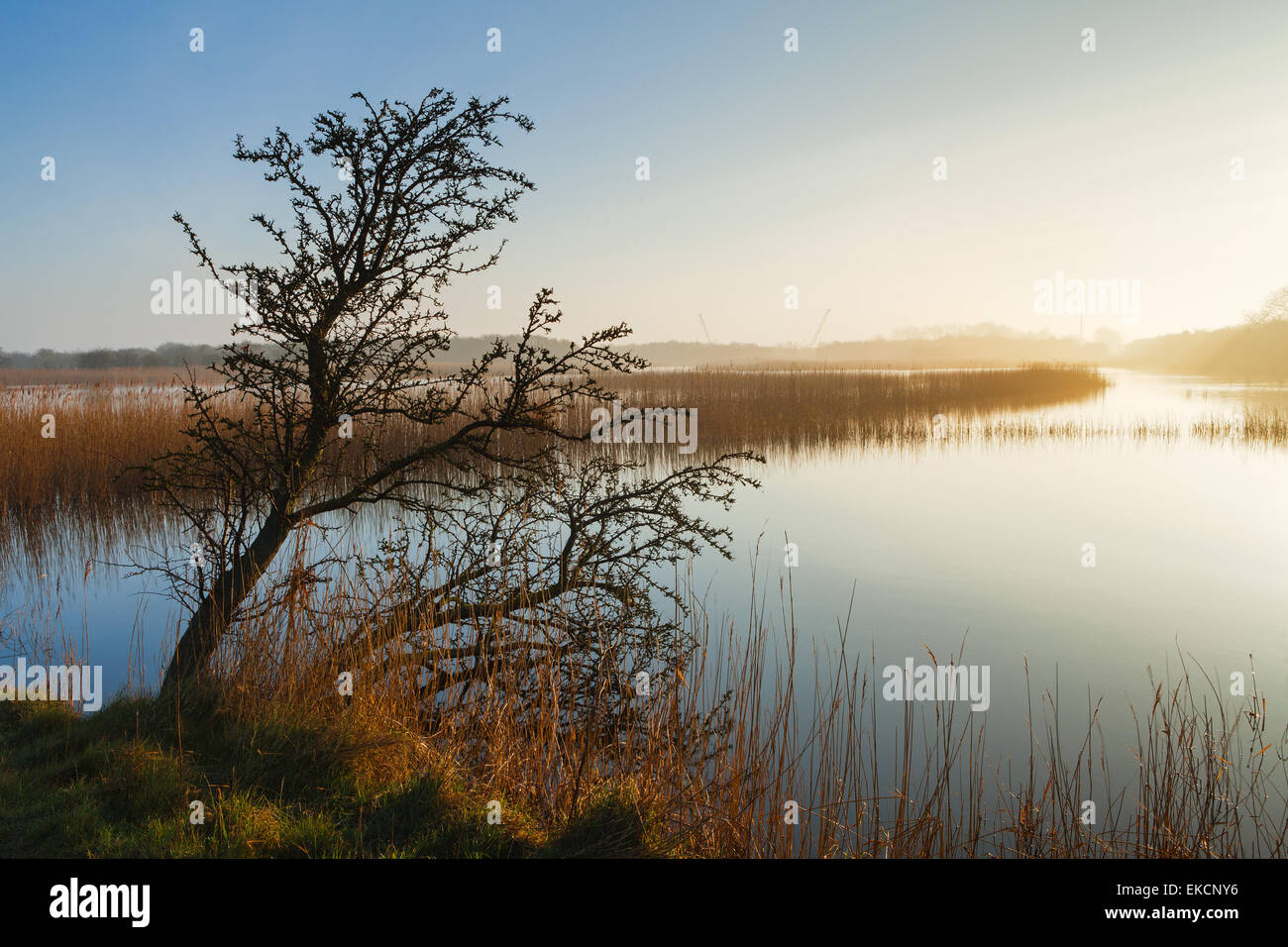 Haven for wildlife hi-res stock photography and images - Alamy