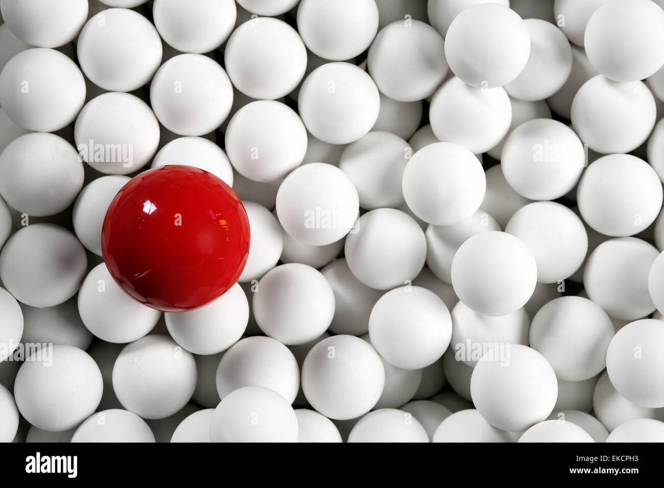 Alone one billiard red ball little white balls Stock Photo - Alamy
