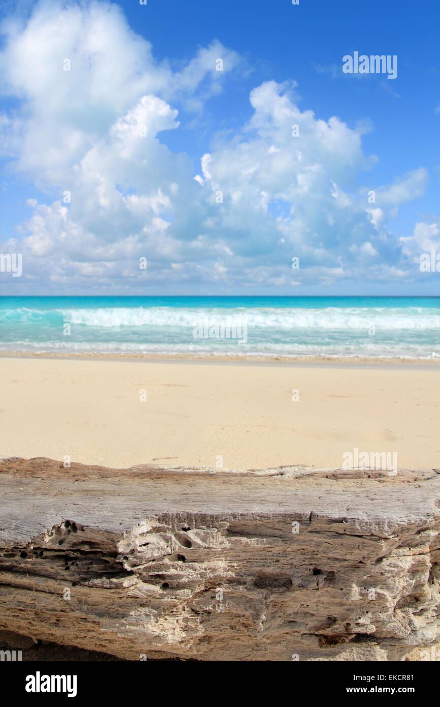 Caribbean tropical beach from weathered limestone Stock Photo - Alamy