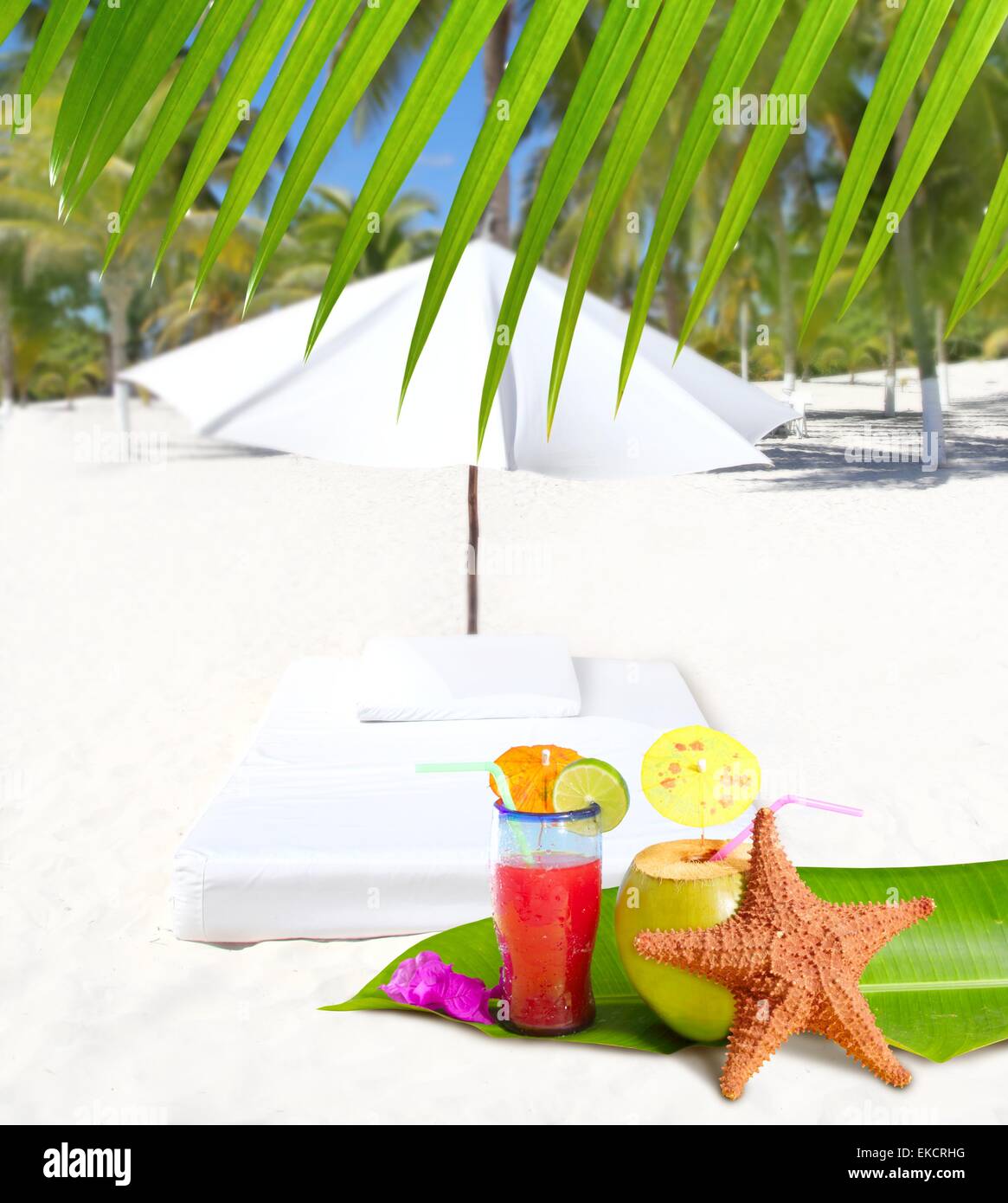 Coconut and cocktail beverages in palm trees Stock Photo - Alamy