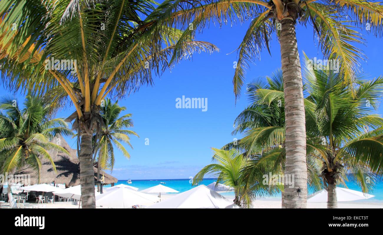 caribbean tropical beach white parasol coconut palm Stock Photo - Alamy