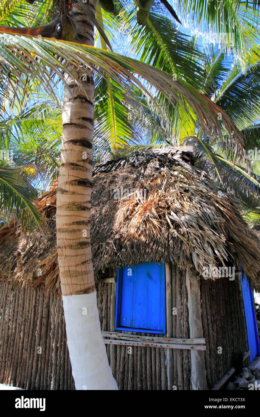 coconut palm trees palapa hut beach Stock Photo - Alamy