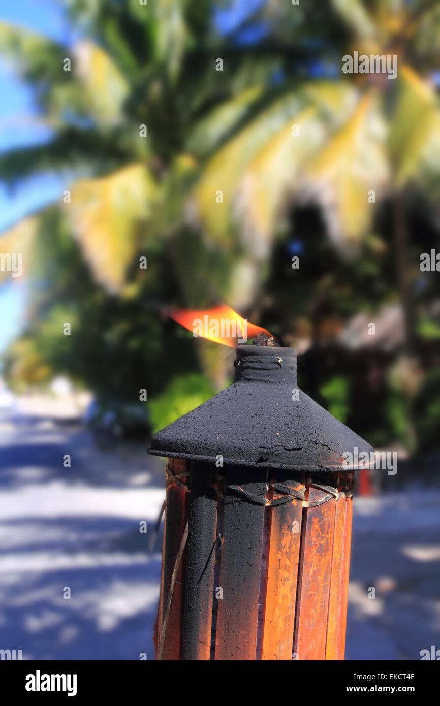 fire torch flame in tropical palm tree jungle Stock Photo - Alamy