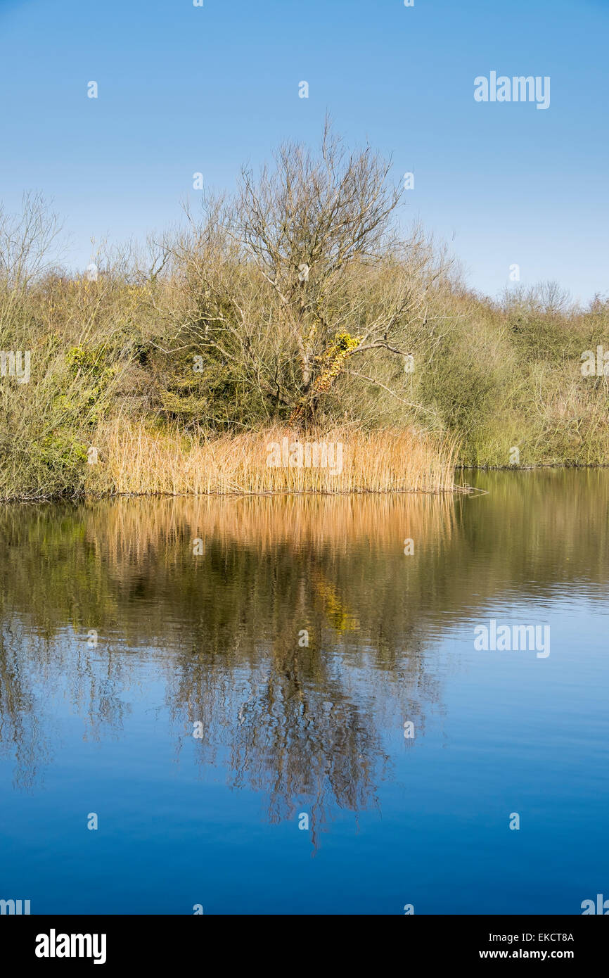 Milton cambridgeshire england hi-res stock photography and images - Alamy