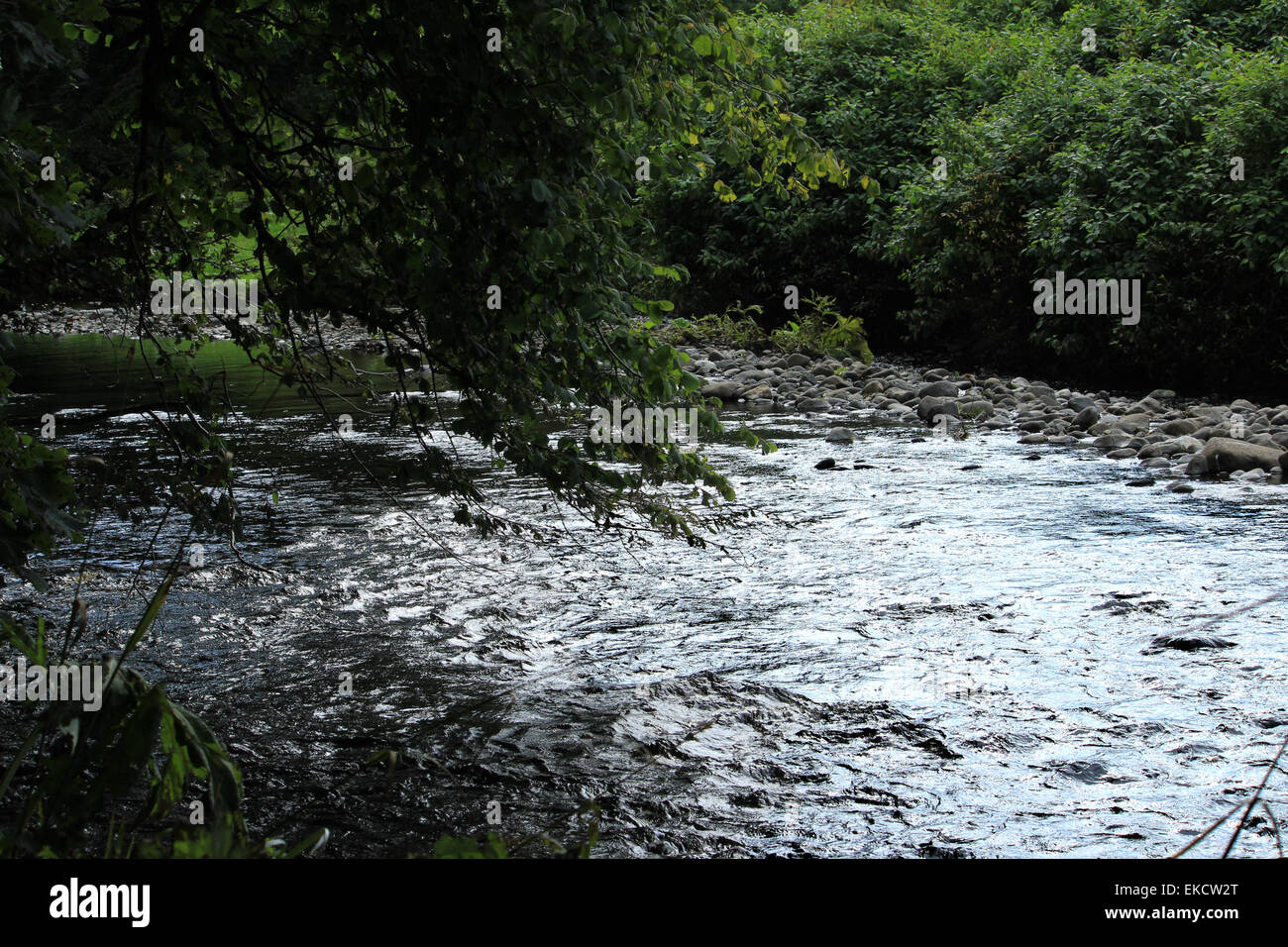 Stream into lake hi-res stock photography and images - Alamy