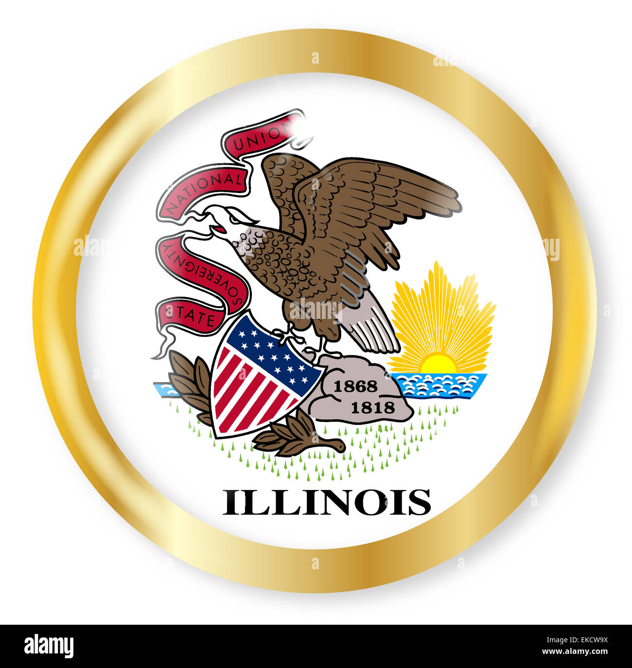 Illinois state flag button with a gold metal circular border over a ...