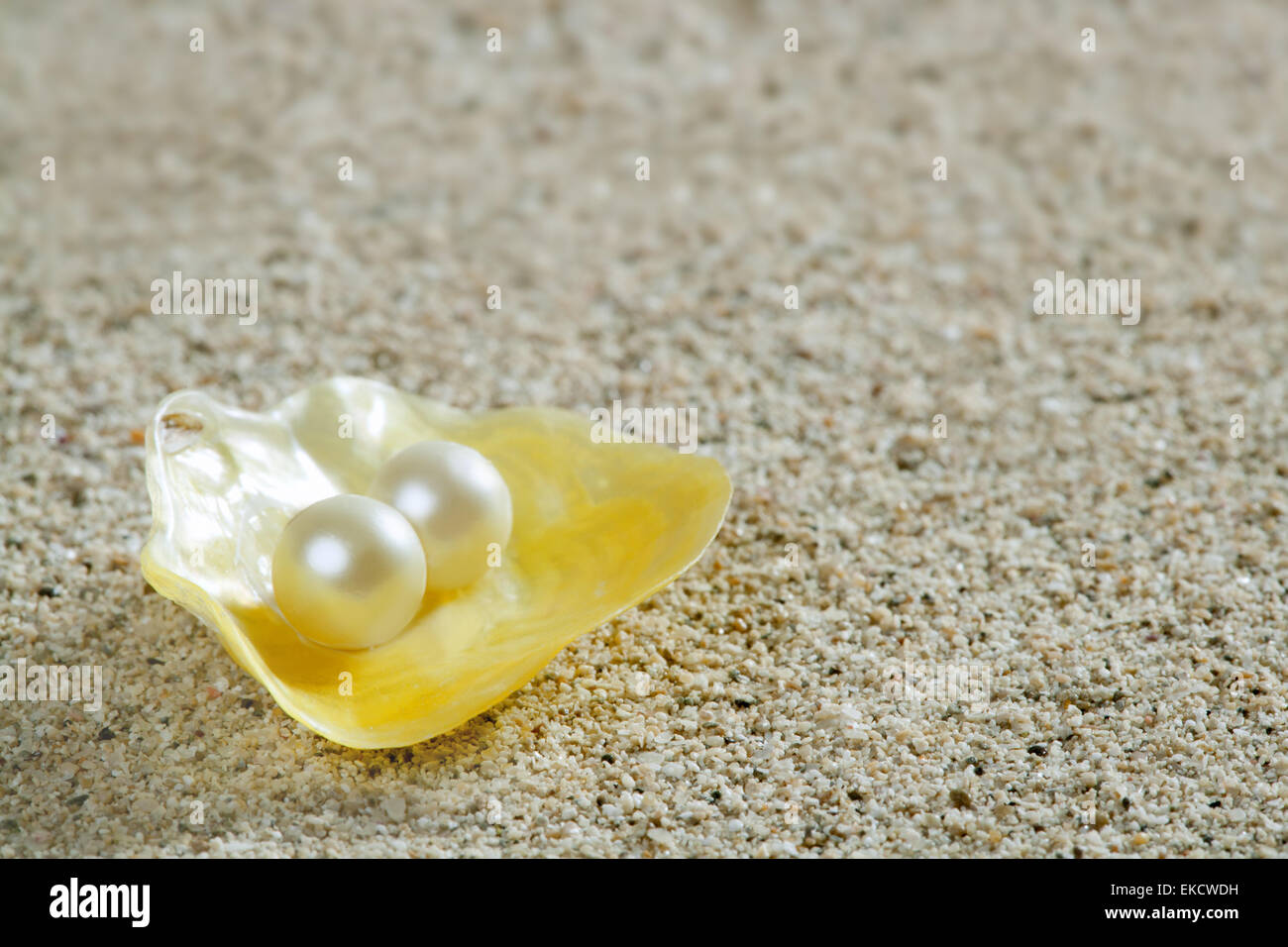 beach sand pearl on yellow shell summer tropical Stock Photo - Alamy