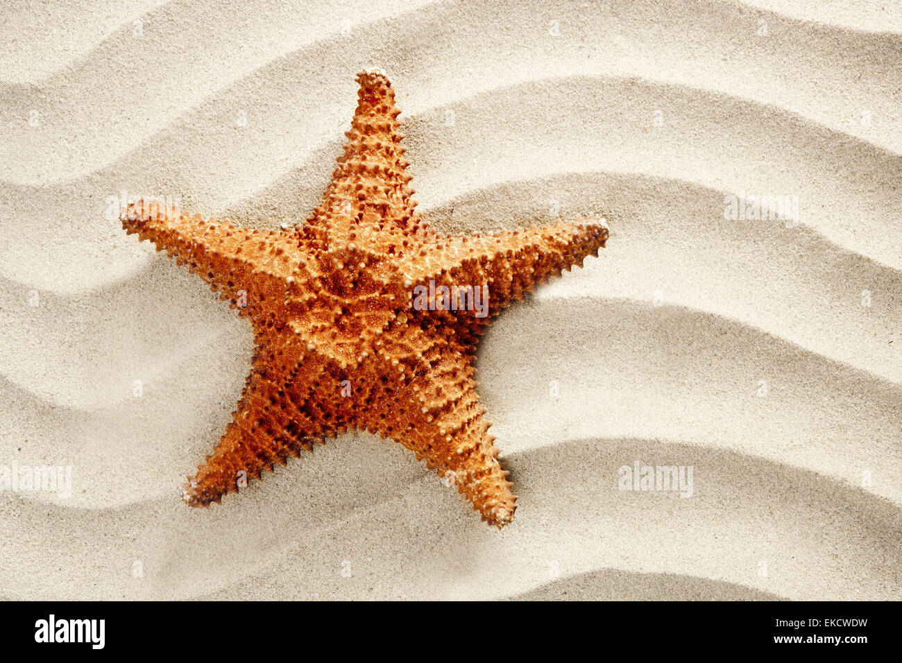 beach white wavy sand starfish summer vacation Stock Photo - Alamy