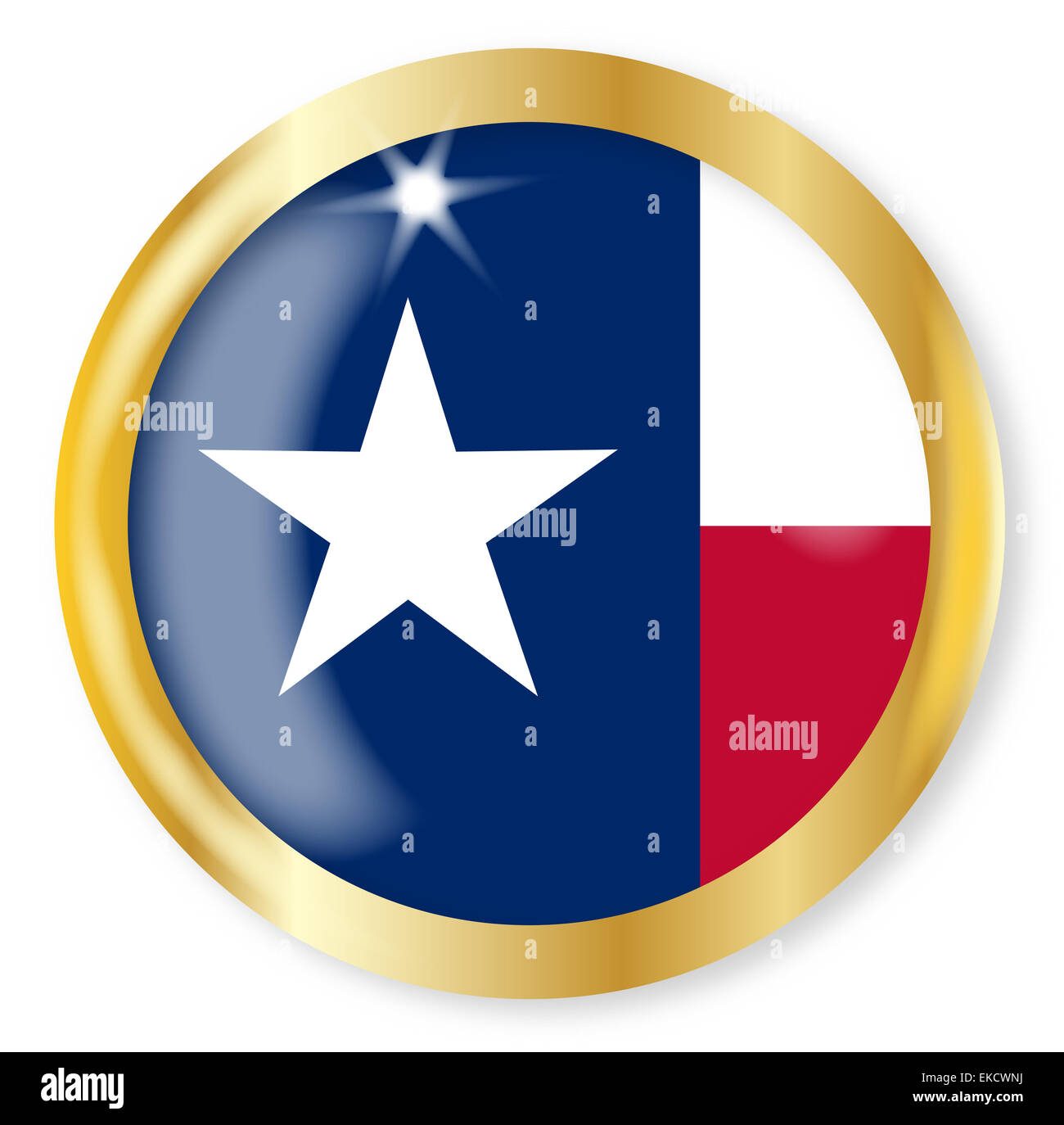 Texas state flag button with a gold metal circular border over a white ...