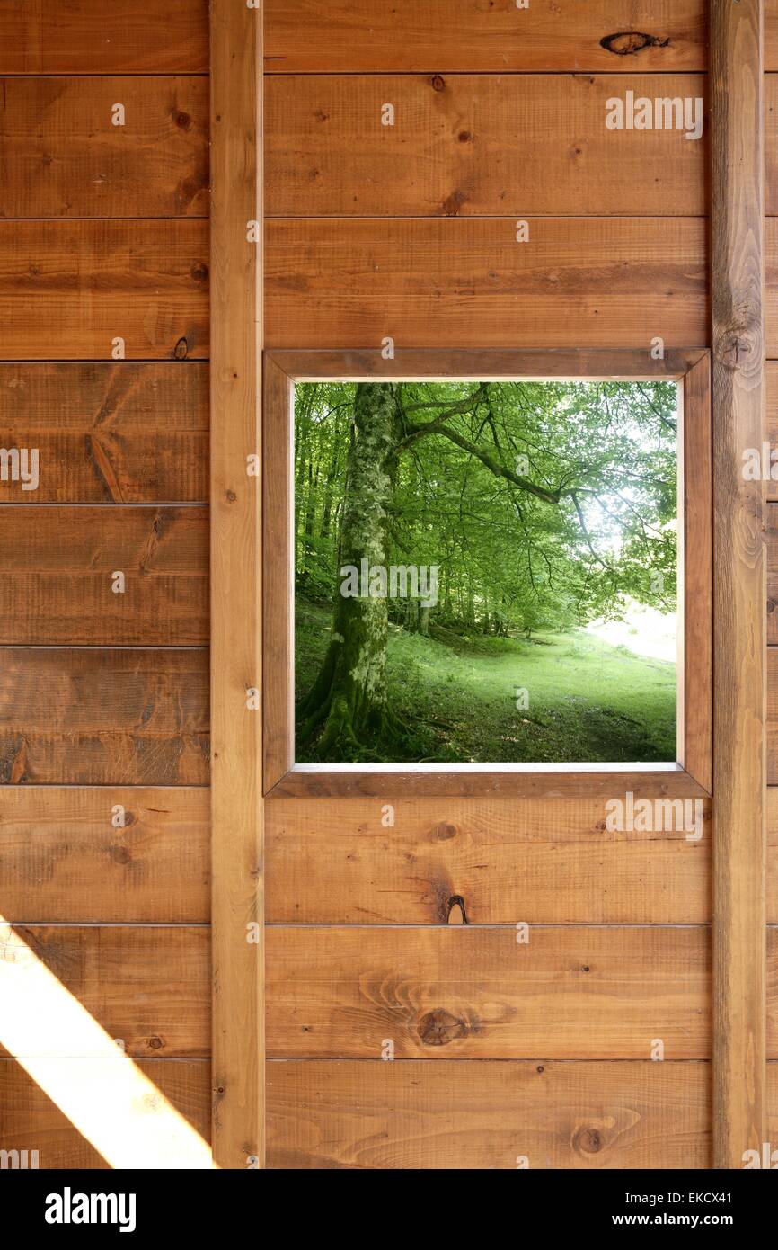 Wooden window jungle green forest view Stock Photo - Alamy