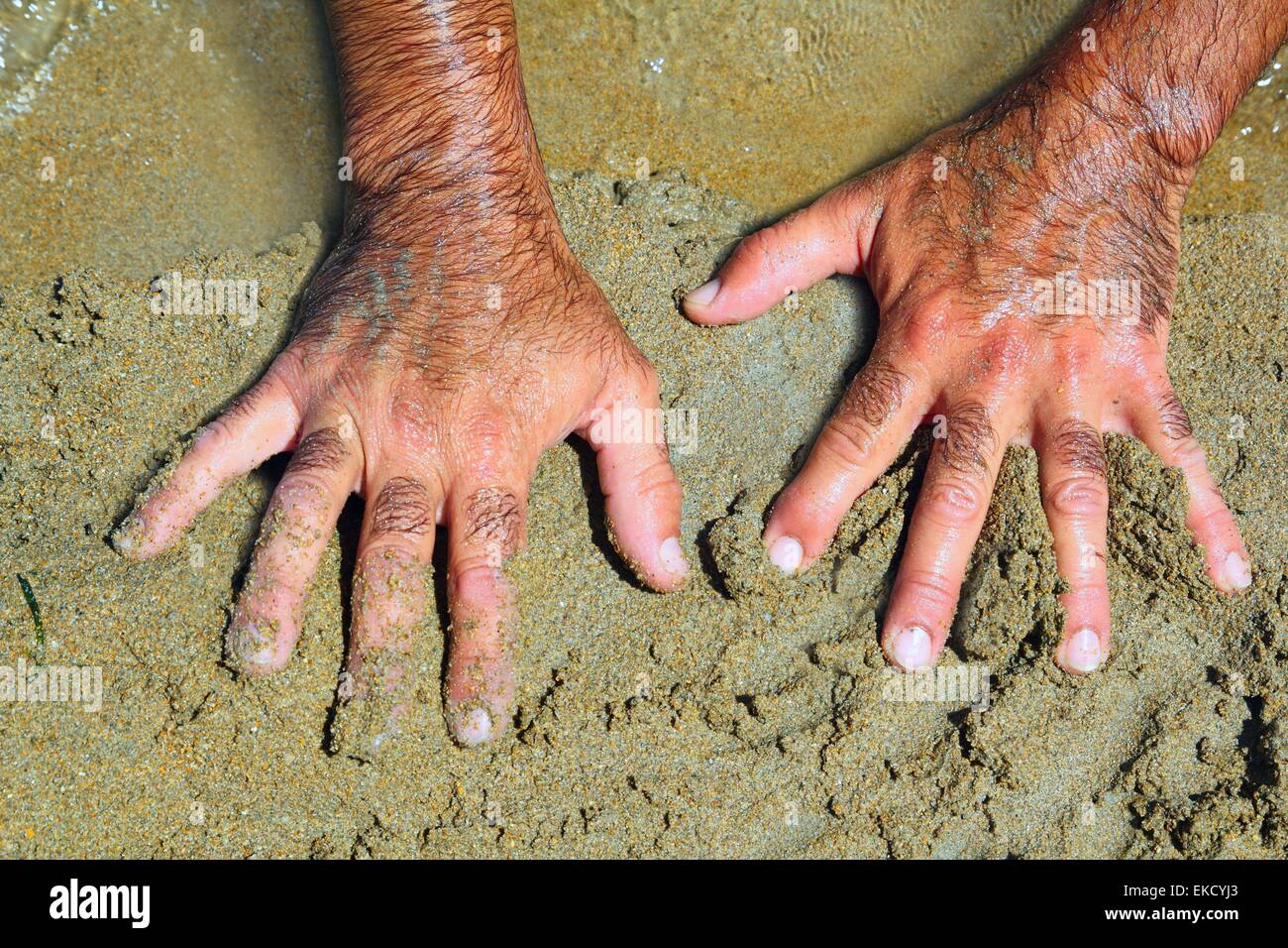 Hairy man hands on beach sand in sunny summer Stock Photo - Alamy