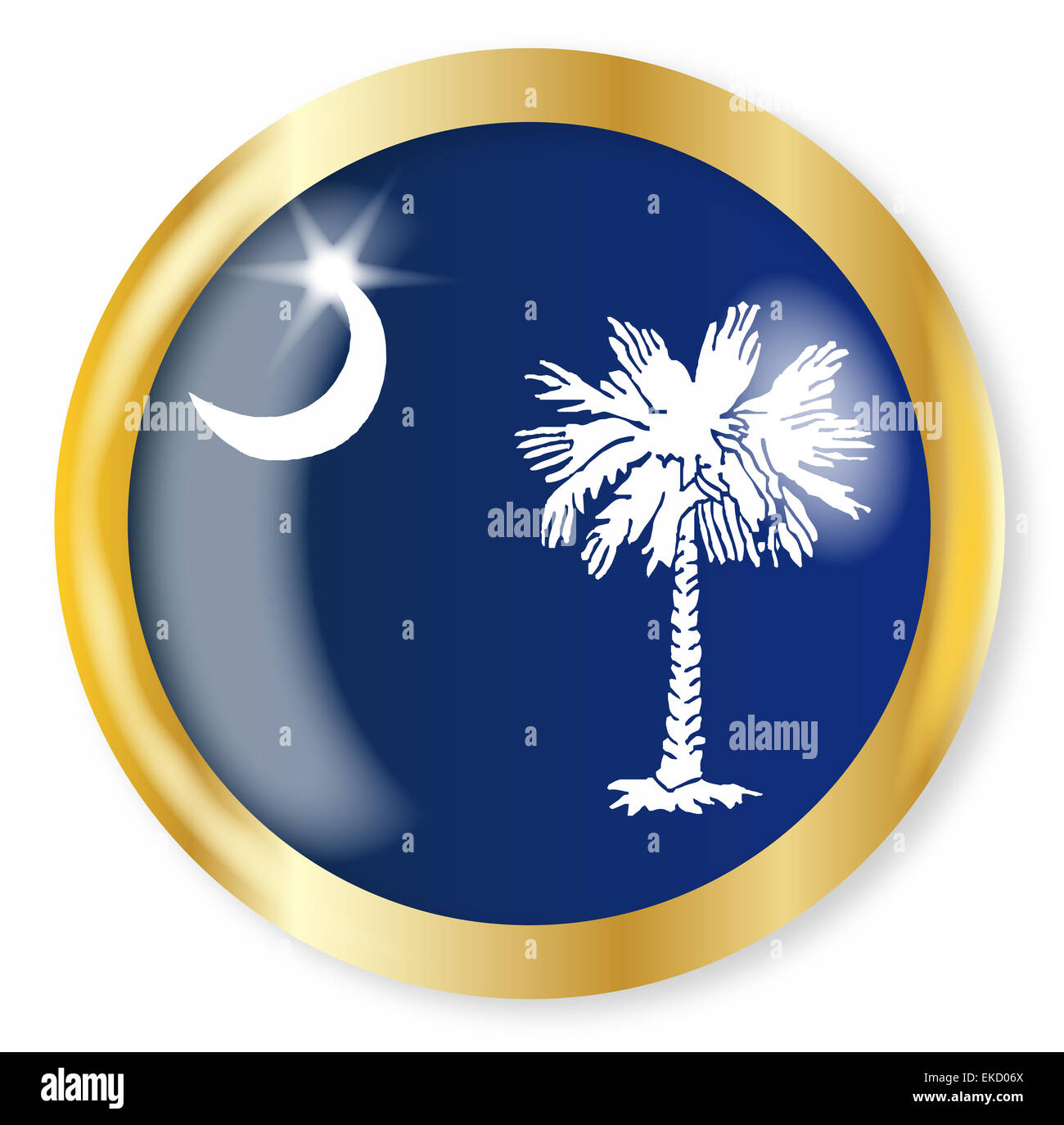 South Carolina state flag button with a gold metal circular border over ...