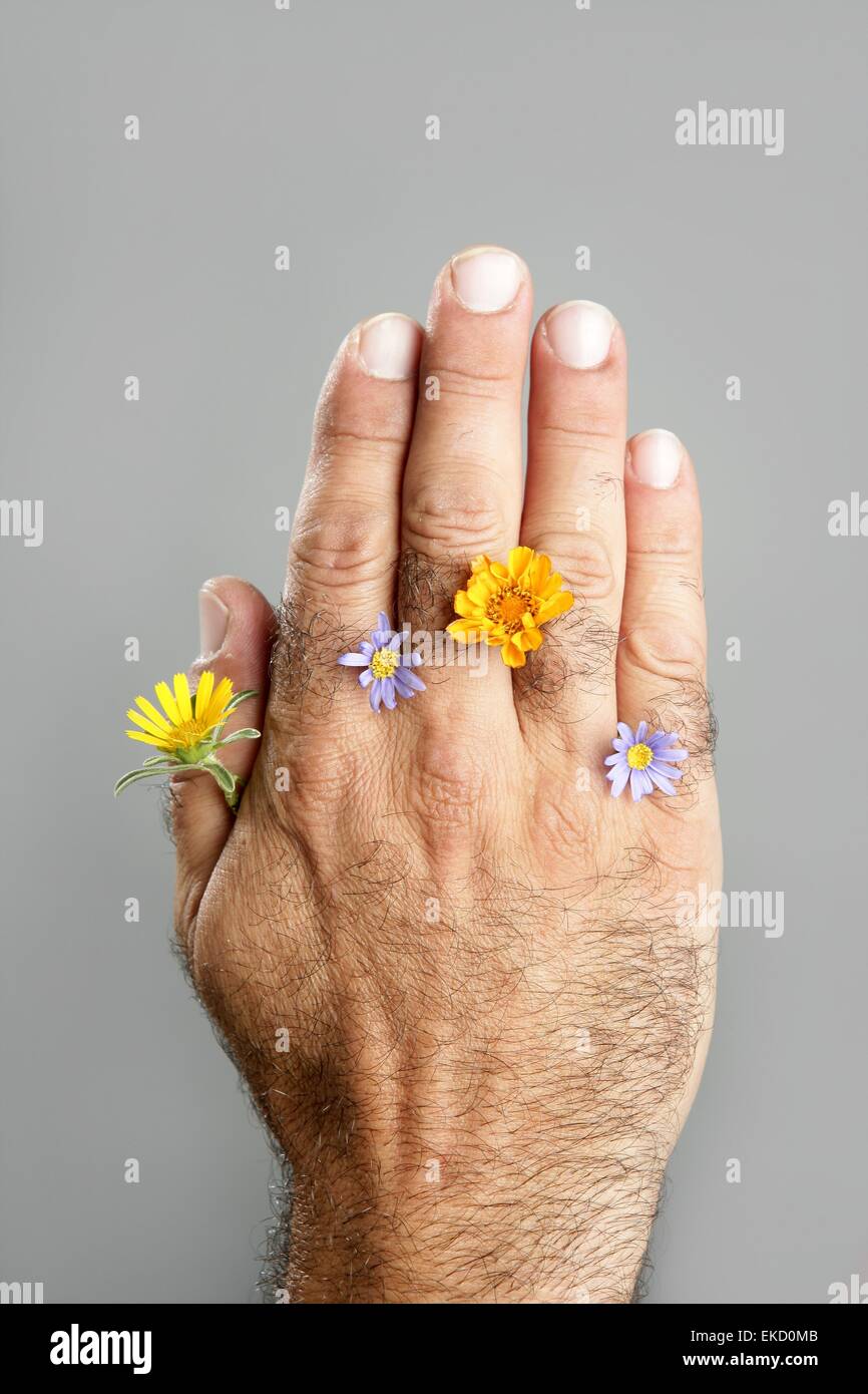 Concept and contrast of hairy man hand and flower Stock Photo - Alamy