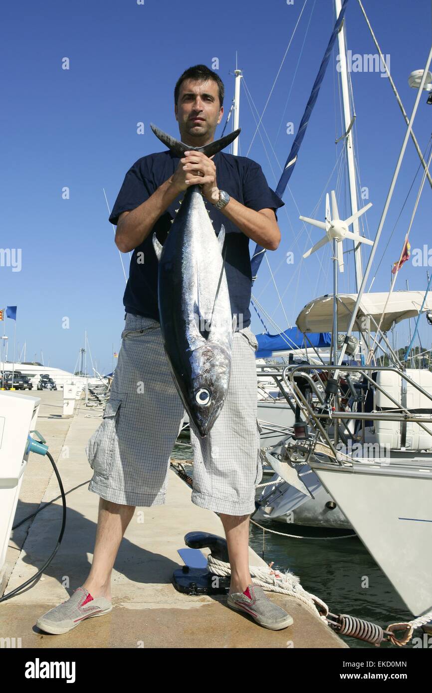 Angler fishing big game Albacore tuna on Mediterranean Stock Photo - Alamy