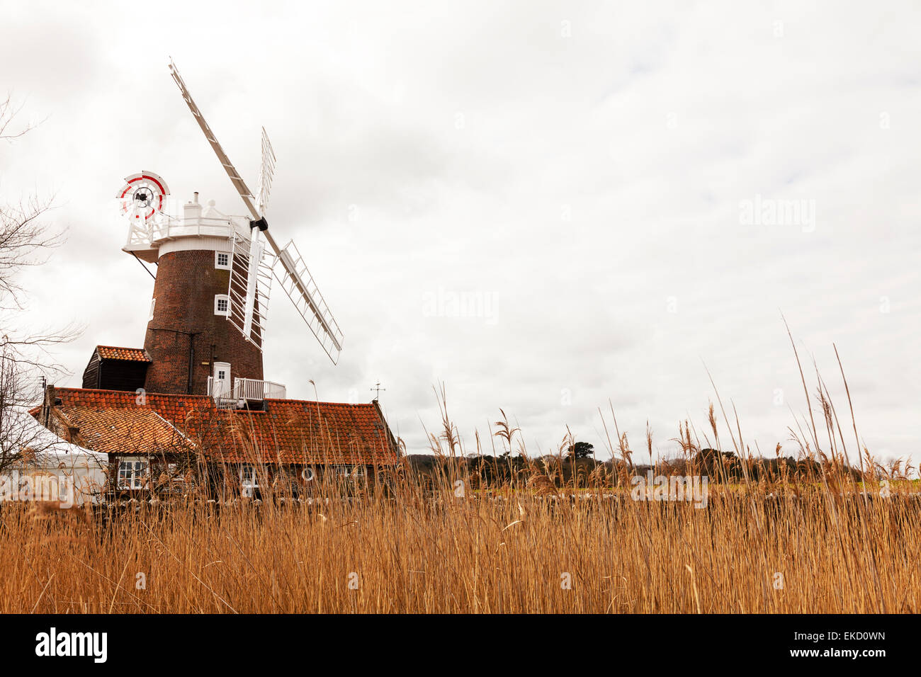 Cley next the sea windmill reed marshes marsh marshland land Norfolk UK ...