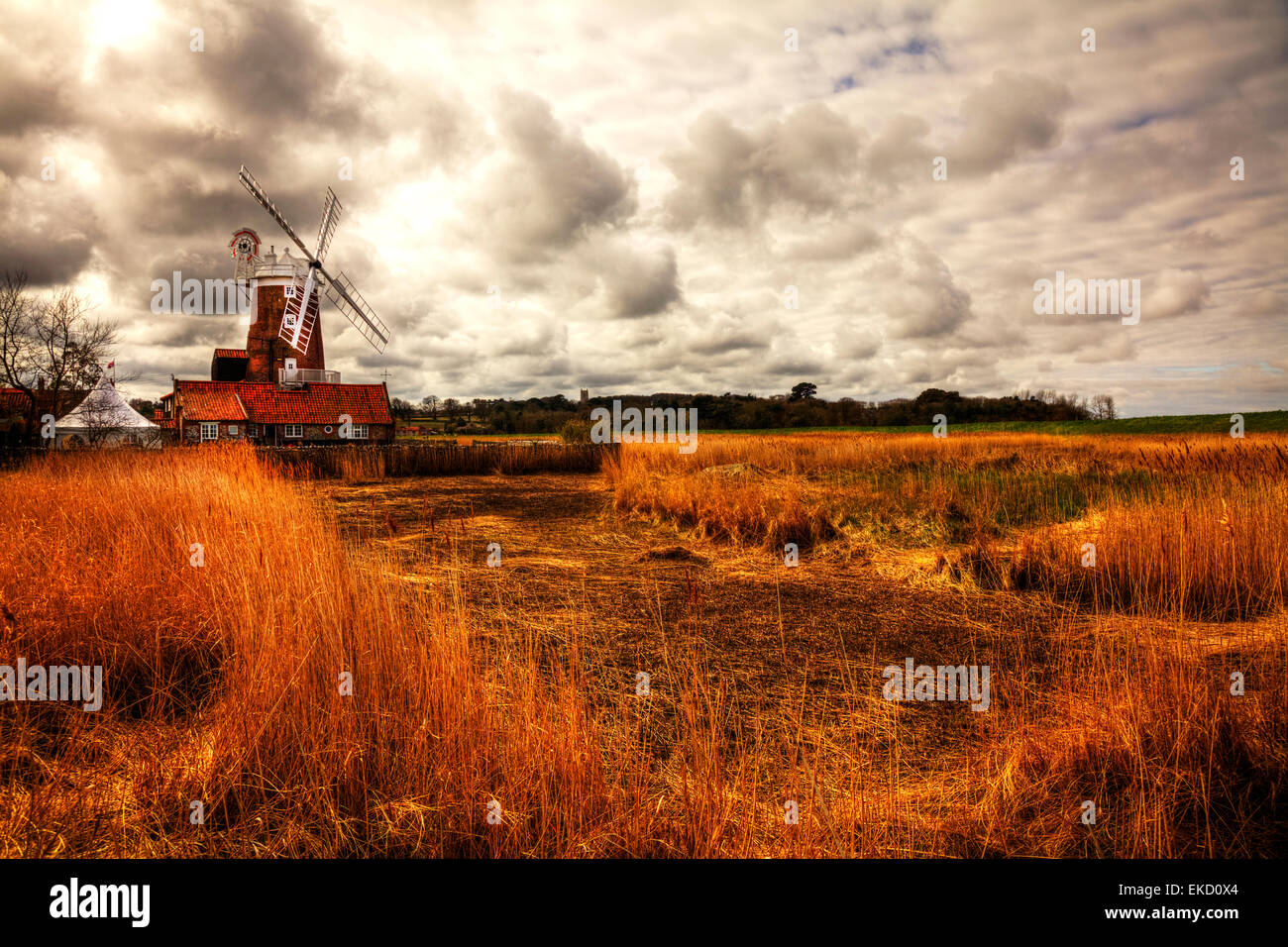 Marshland Stock Photos & Marshland Stock Images - Alamy