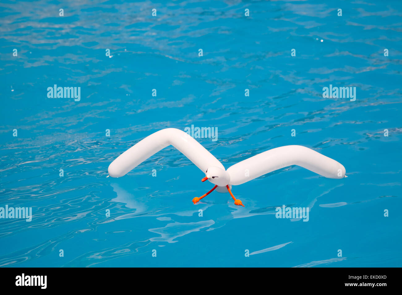 air balloon seagull floating in aqua water Stock Photo - Alamy