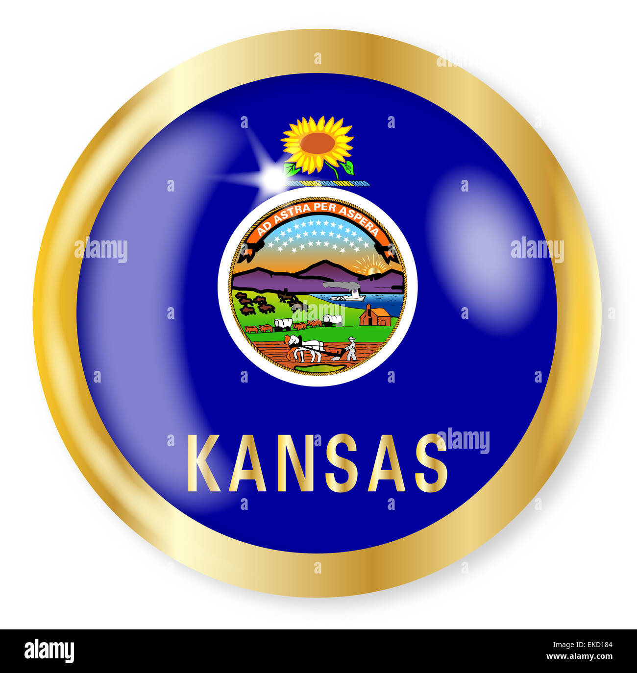Kansas state flag button with a gold metal circular border over a white ...