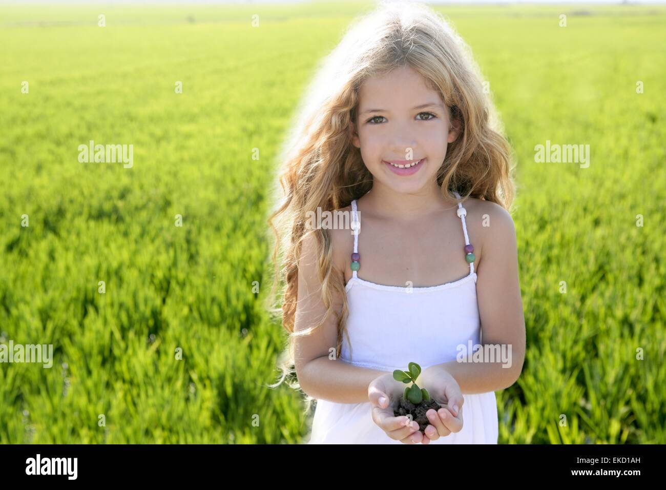 sprout plant growing from little girl hands outdoo Stock Photo - Alamy