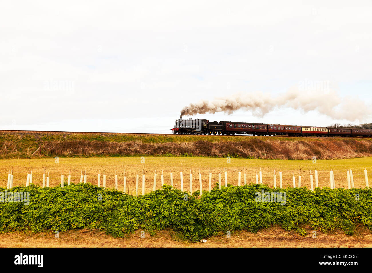 Steam train Black Prince North Norfolk Railway UK England Britain’s ...