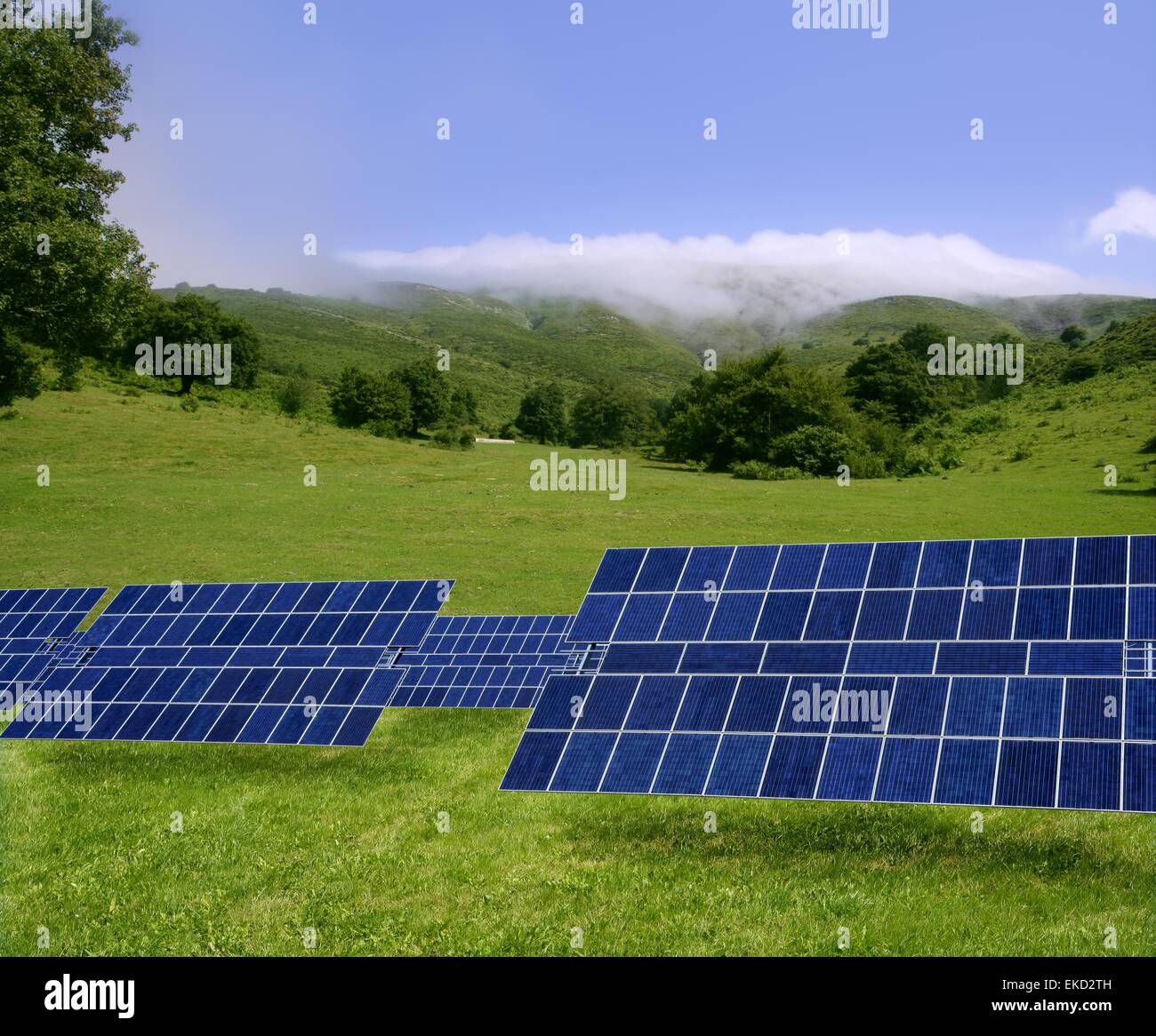 Clean electric energy solar plates in meadow Stock Photo - Alamy