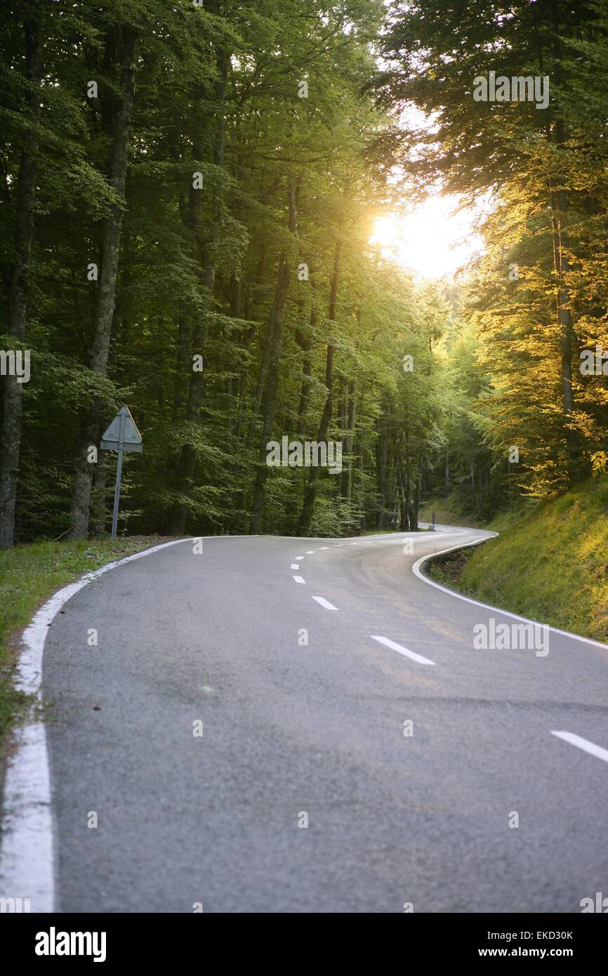 Asphalt winding curve road in a beech forest Stock Photo - Alamy