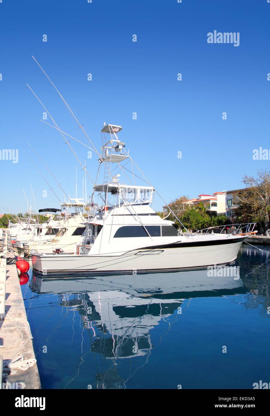 Fisherboats marina in Mexico Stock Photo - Alamy
