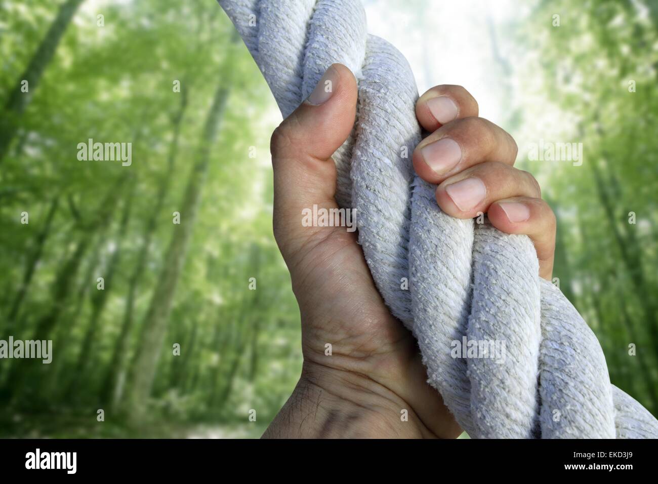 man hand grab grip climbing green forest rope Stock Photo - Alamy