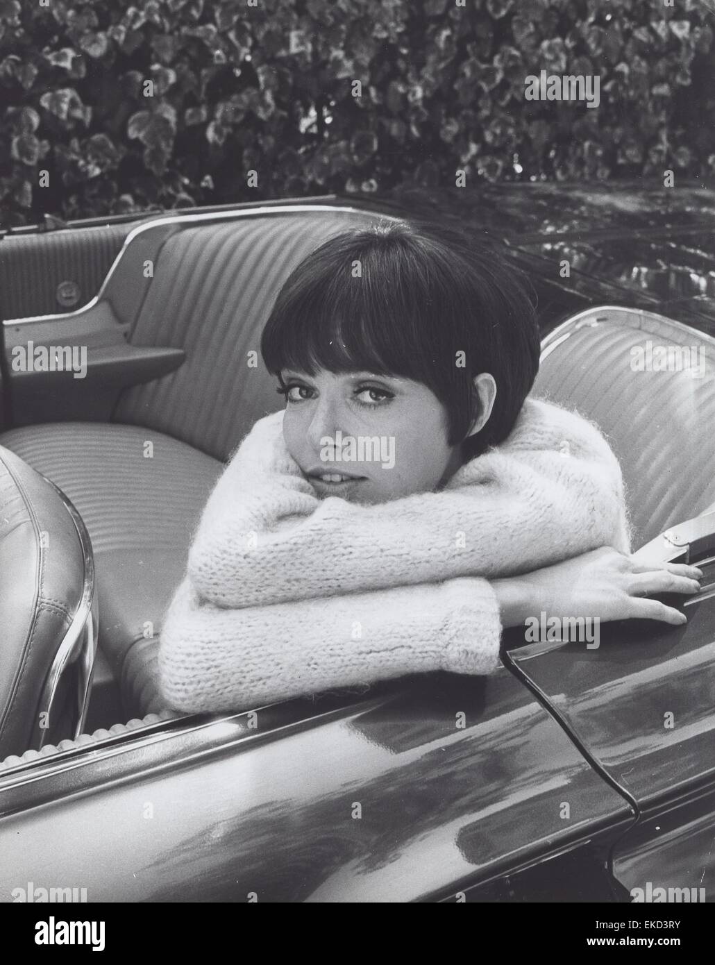 Barbara feldon hi-res stock photography and images - Alamy