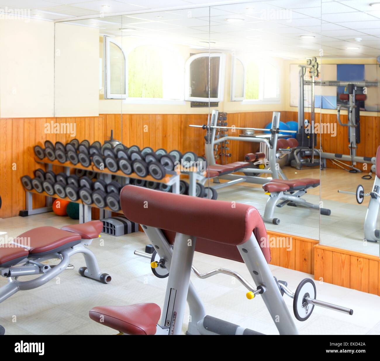 Gym interior bodybuliding weights exercise room Stock Photo - Alamy