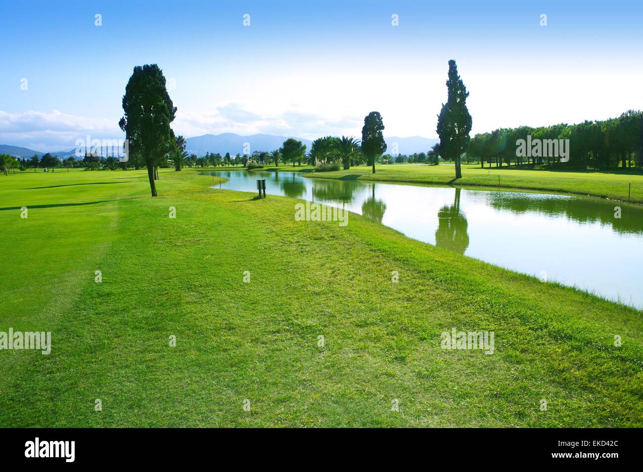 Golf course green grass field lake reflection Stock Photo - Alamy
