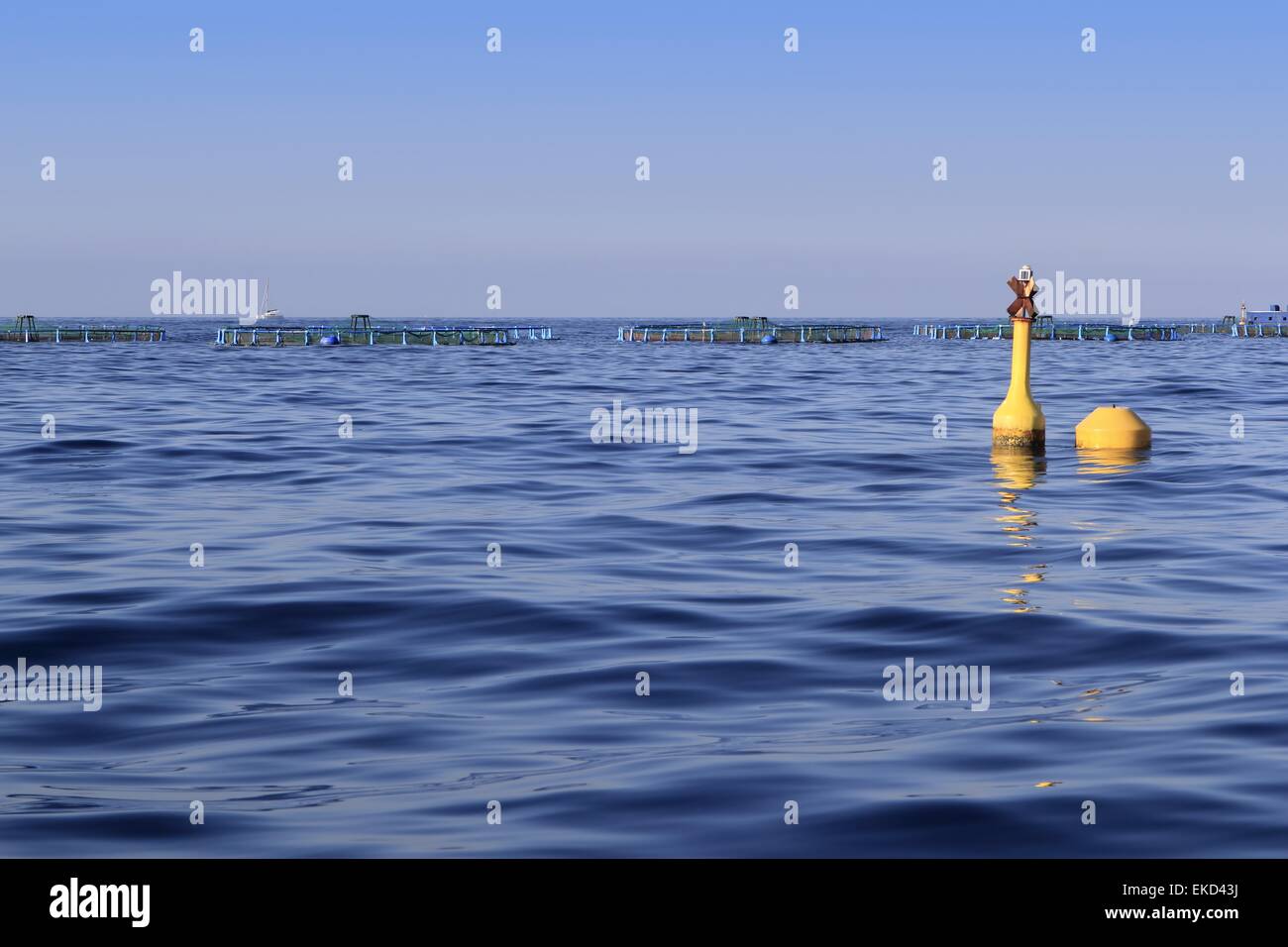 fish farm on blue ocean sea horizon Stock Photo - Alamy