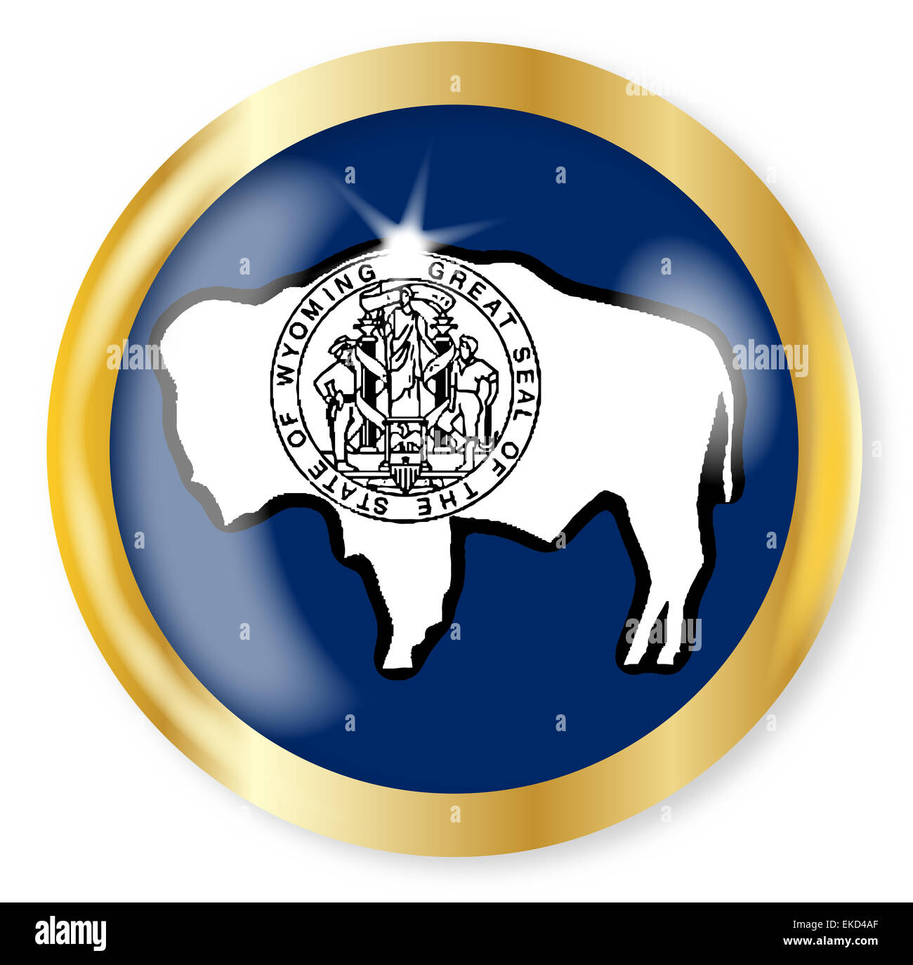 State Of Wyoming Logo