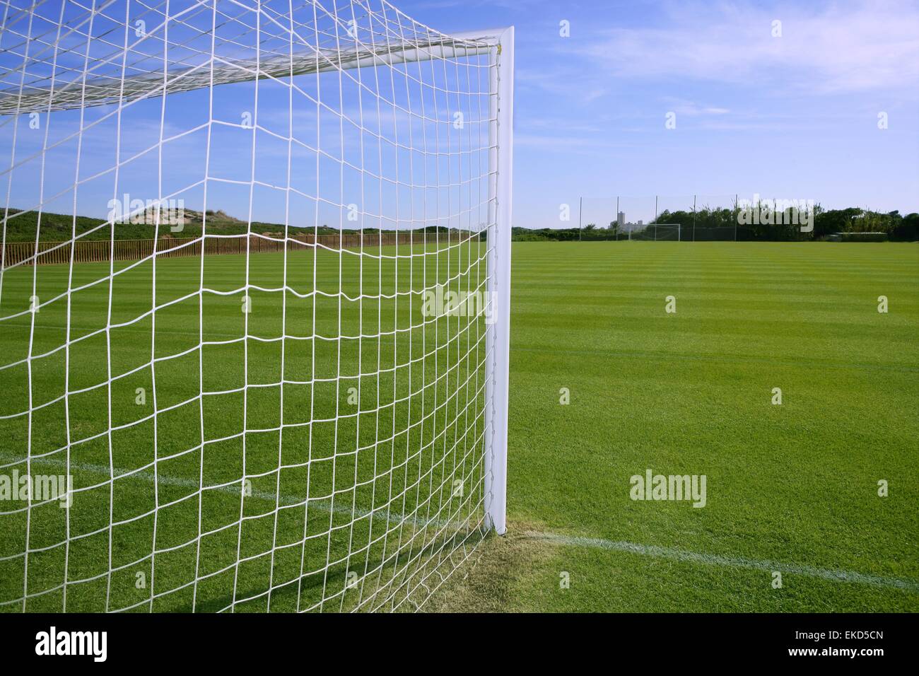Net soccer goal football green grass field Stock Photo - Alamy