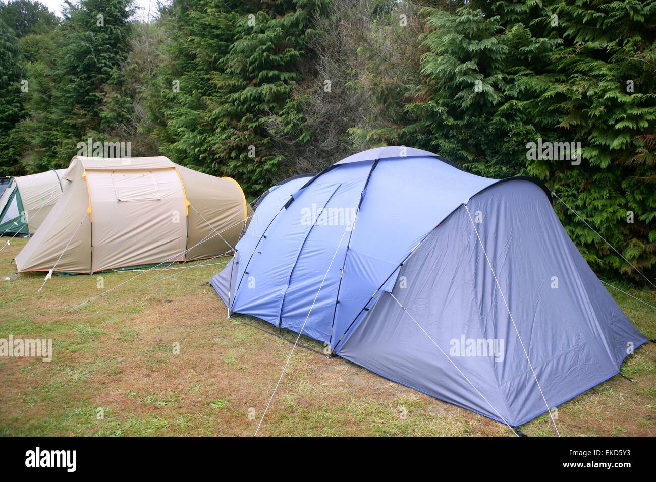 Camping tent field over green grass Stock Photo - Alamy